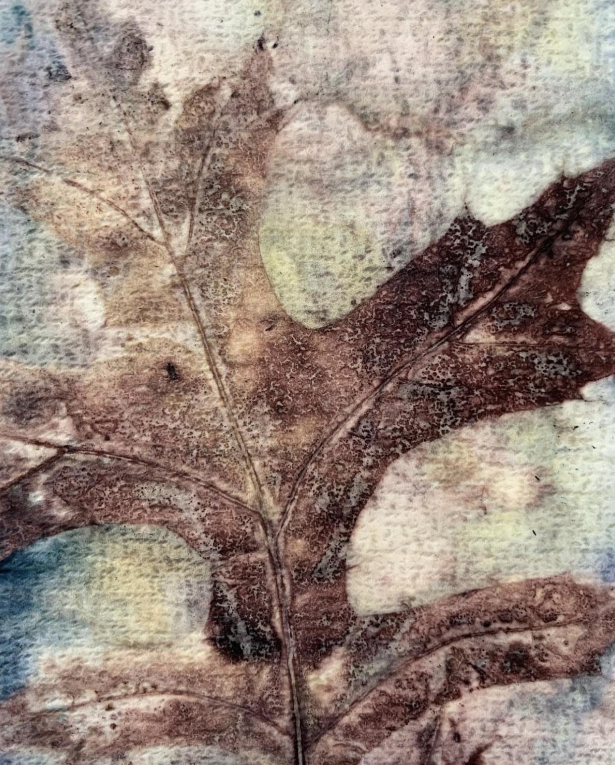 Diary of a Textiles Teacher – Sam Jones